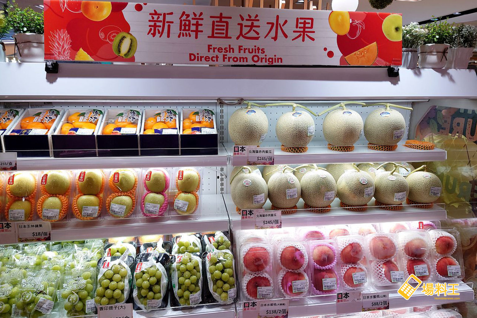 Taste x Fresh：全港首間聯乘概念超市淘大商場開業「Fresh 新鮮生活篇」 - 場料王